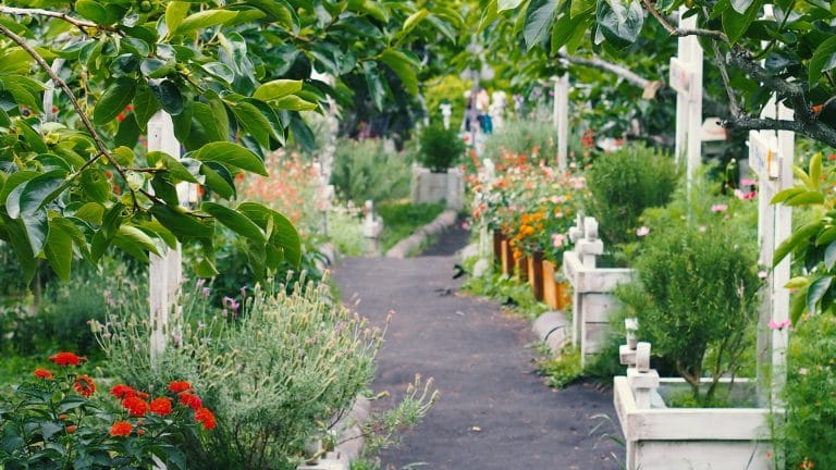 Pourquoi laisser les résidus de gazon tondu ? - MyBricoDeco